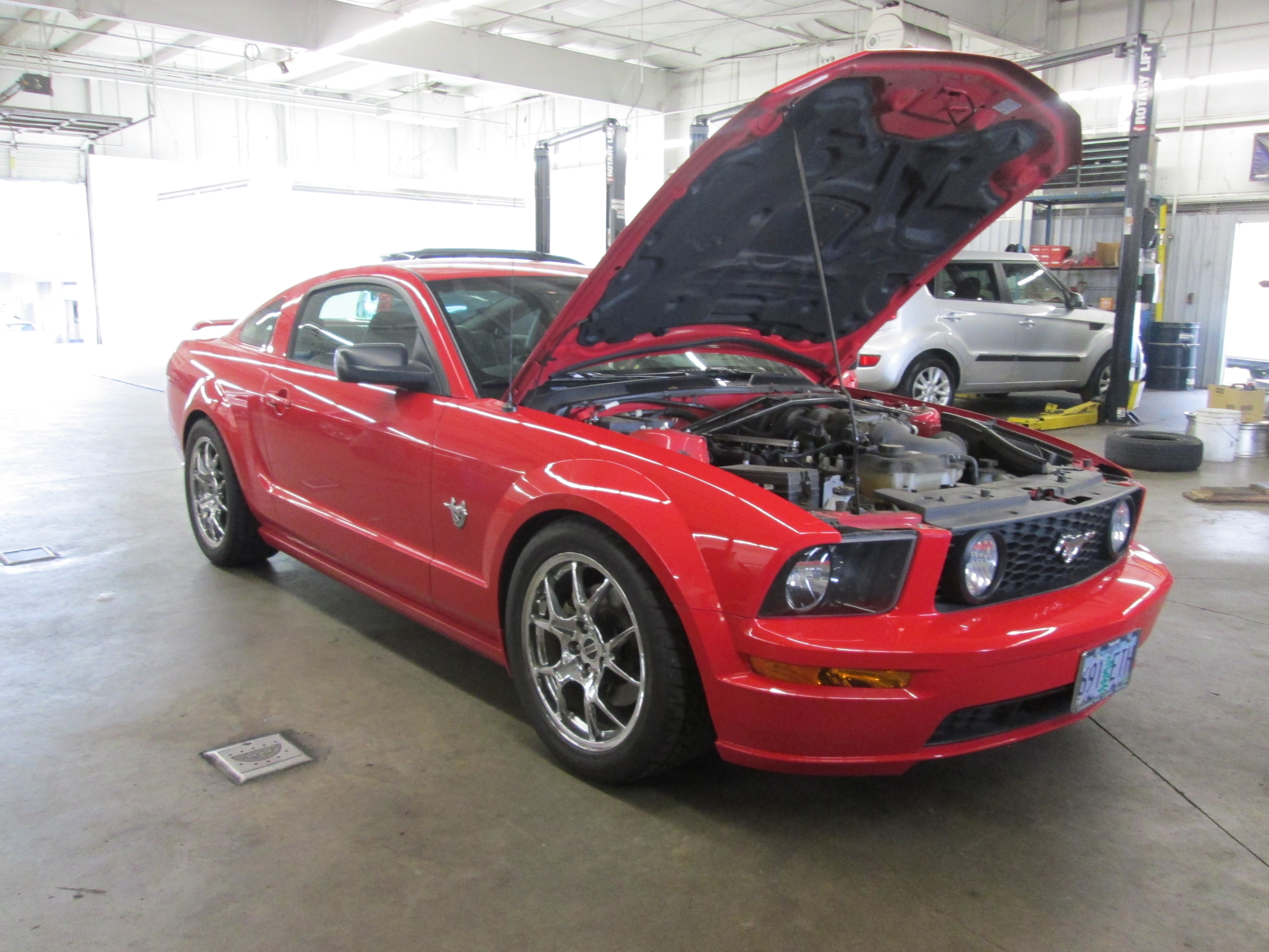 2009 Mustang GT - DEQ ready - Fast Specialties - Performance Auto Shop ...